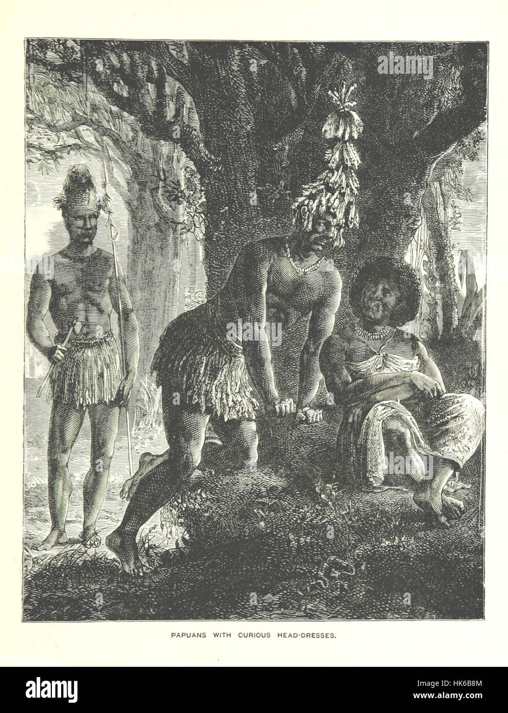 An image from 'Wonderland, or, Curiosities of Nature and Art ...