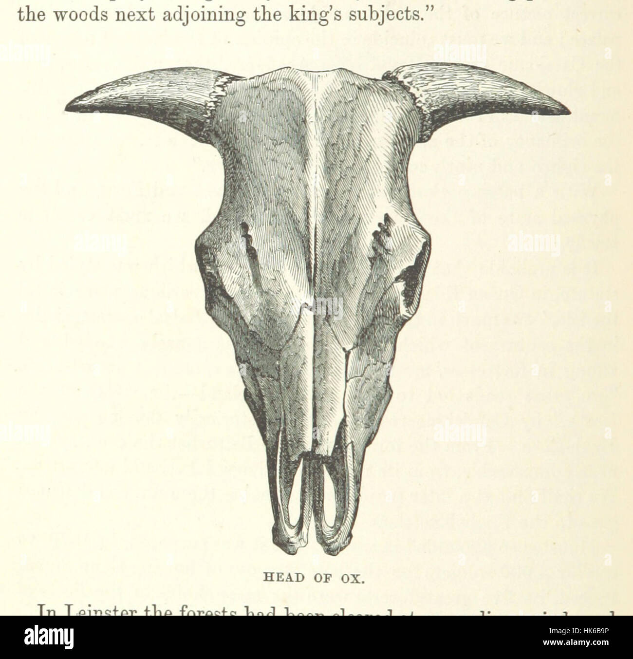 Cusack illustrated history of ireland hi-res stock photography and ...
