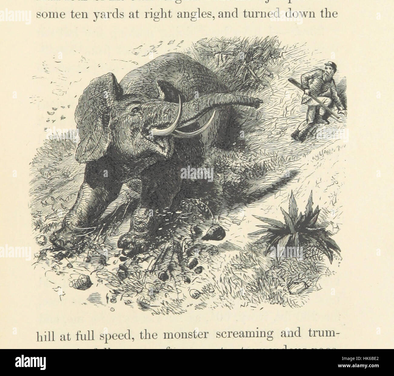 The image is from 'African Hunting,' a book documenting the hunting ...