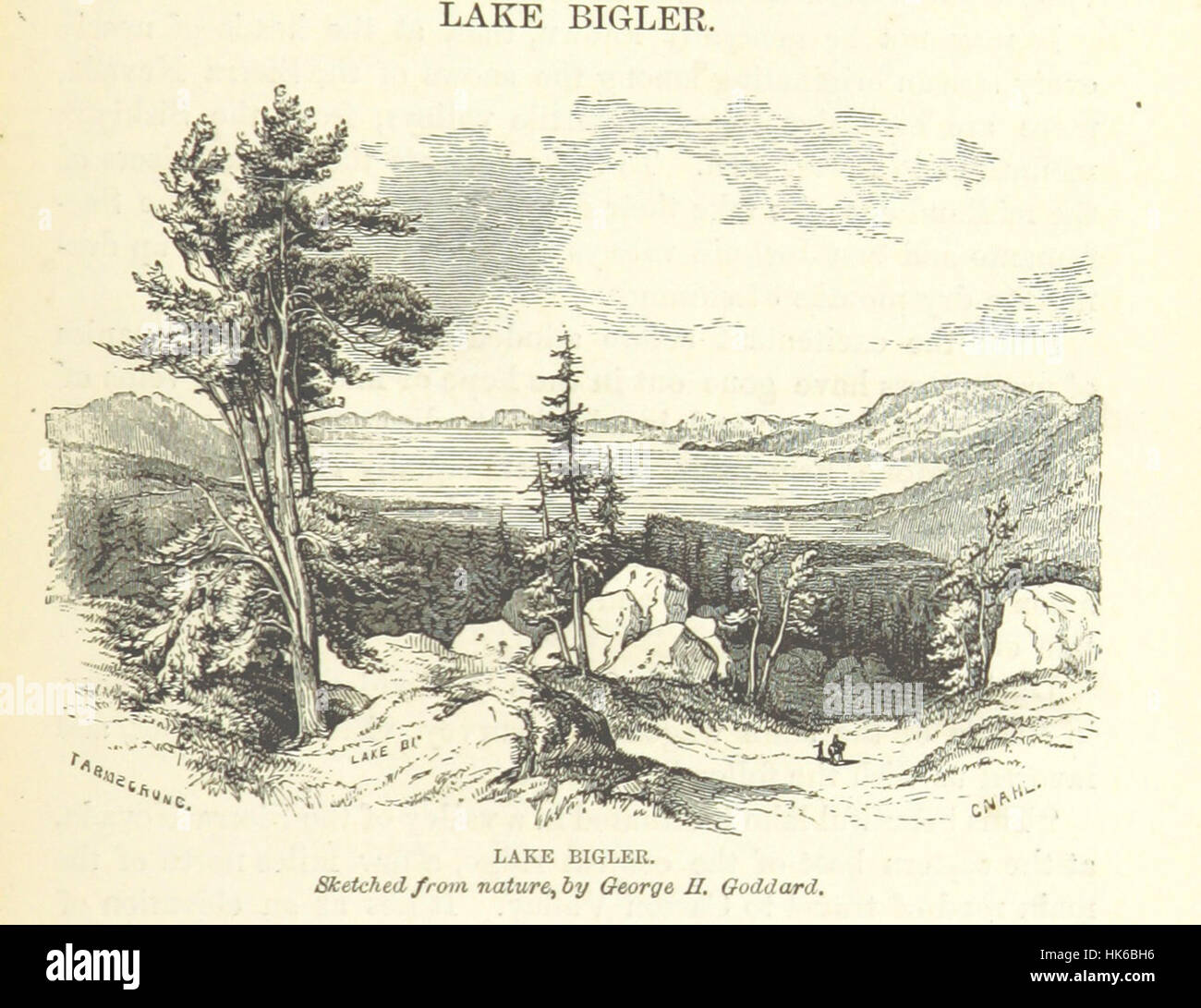 Image taken from page 249 of 'Scenes of wonder and curiosity in ...