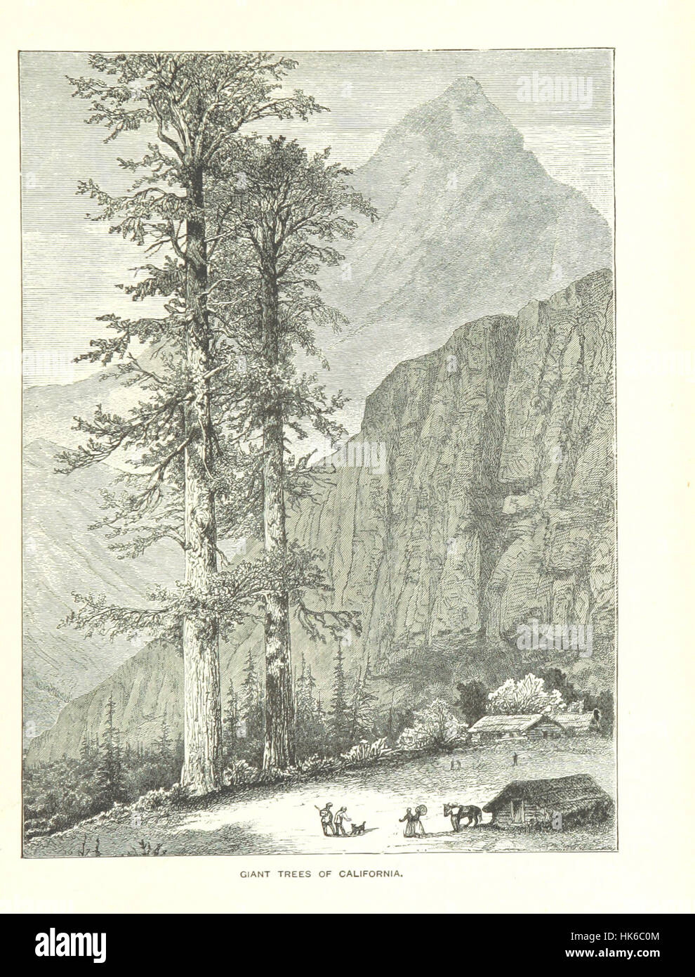 Image from page 25 of 'Wonderland, or, Curiosities of Nature and Art ...