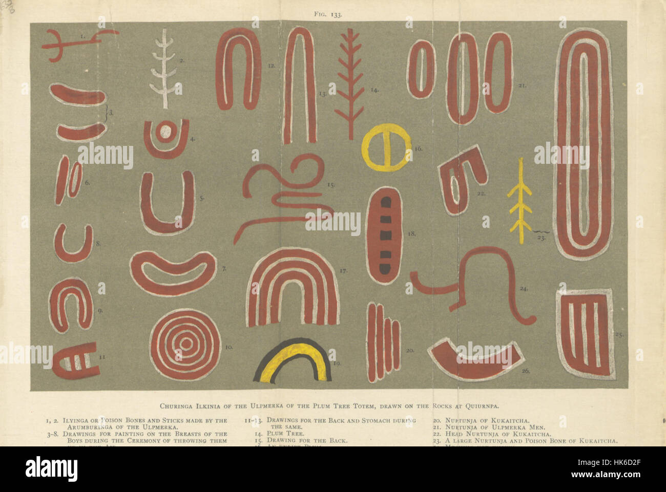 An illustration from 'The Native Tribes of Central Australia ...