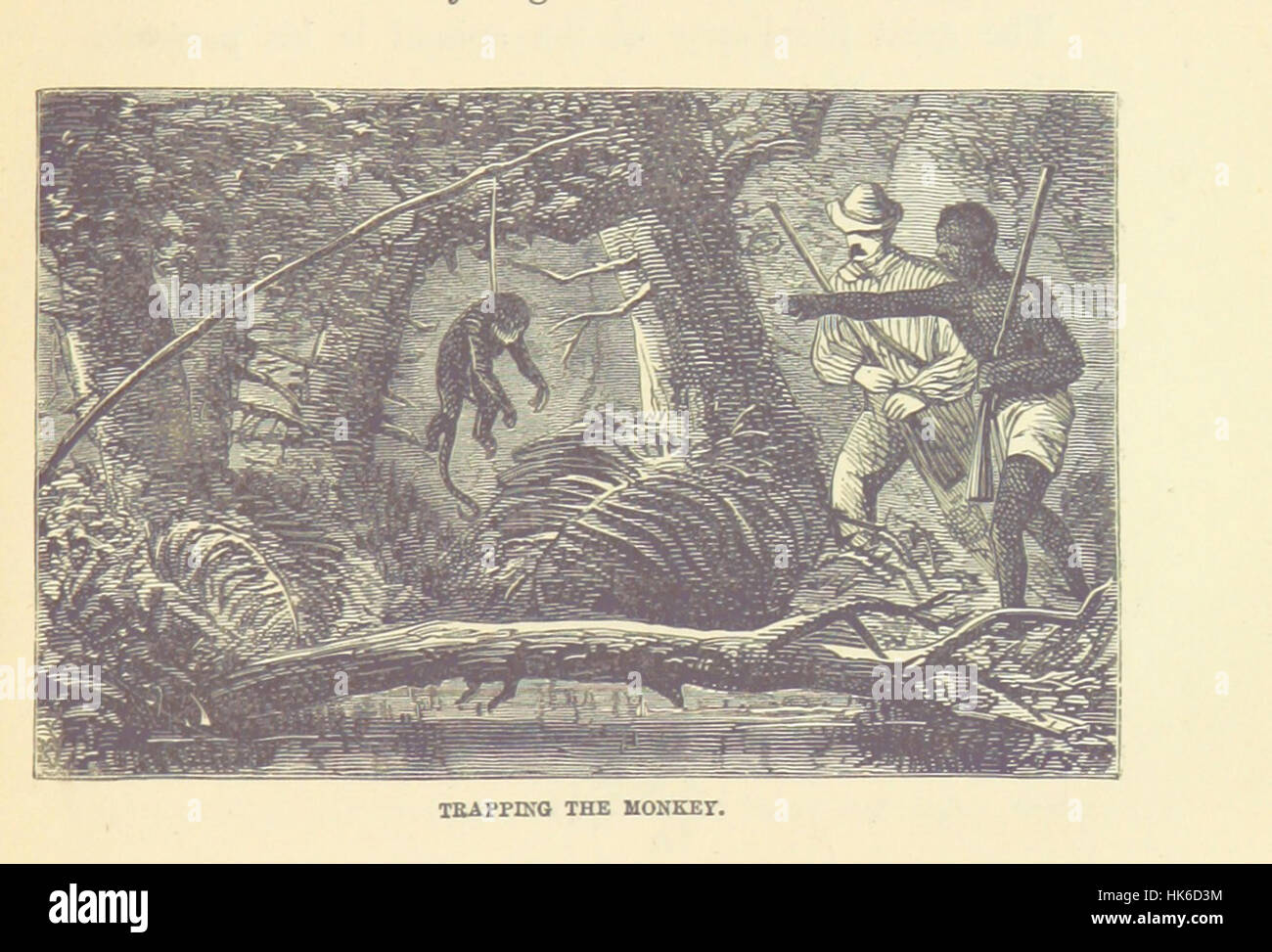 An illustration from 'Wild Life under the Equator,' depicting the ...