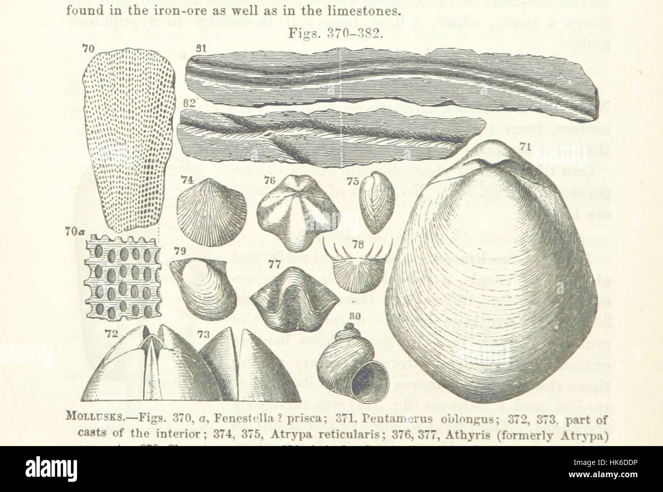 An image from the 'Manual of Geology' depicting key principles of ...