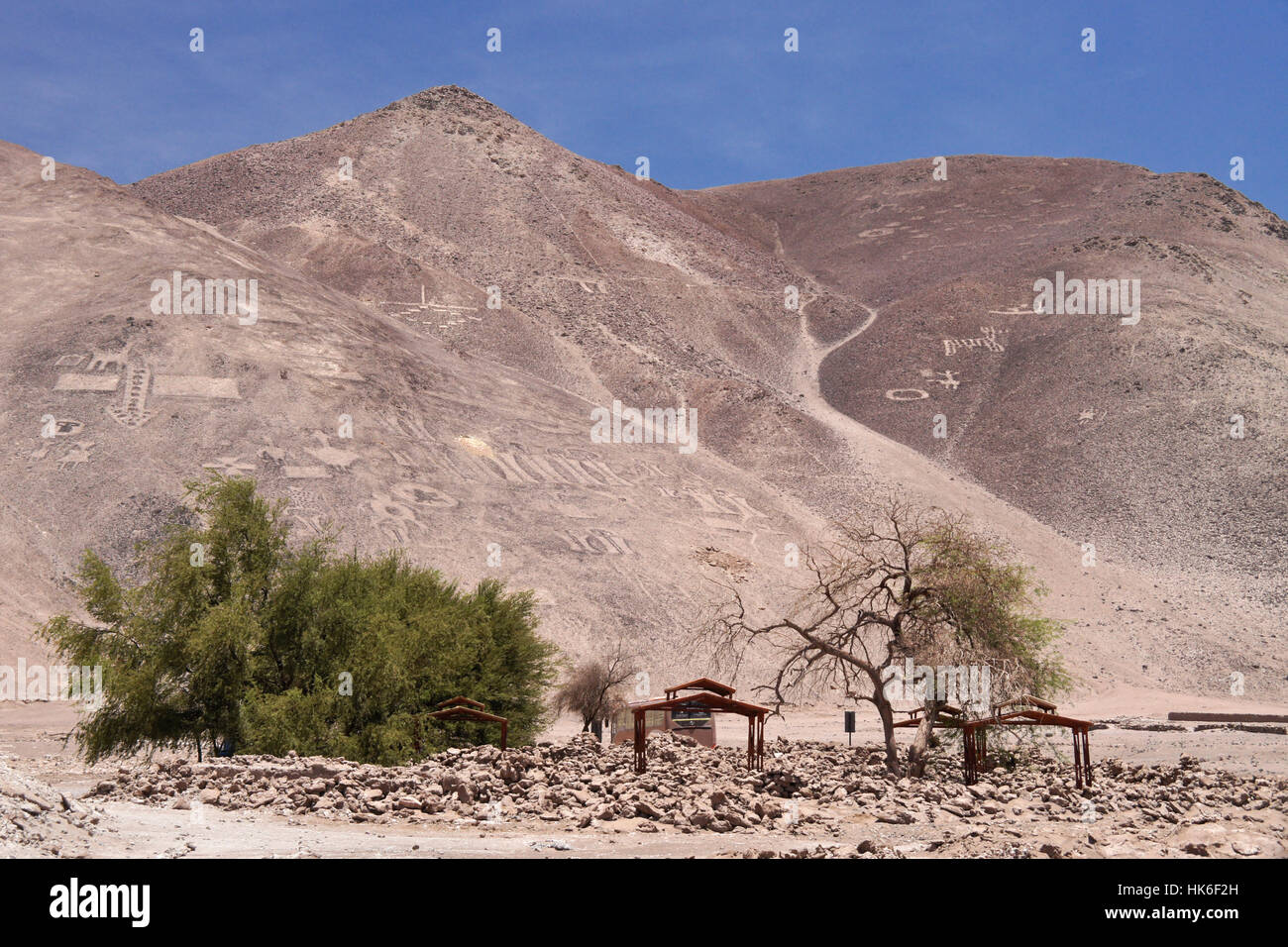 Cerros Pintados geoglyphs on hillside, Reserva Nacional Pampa del ...