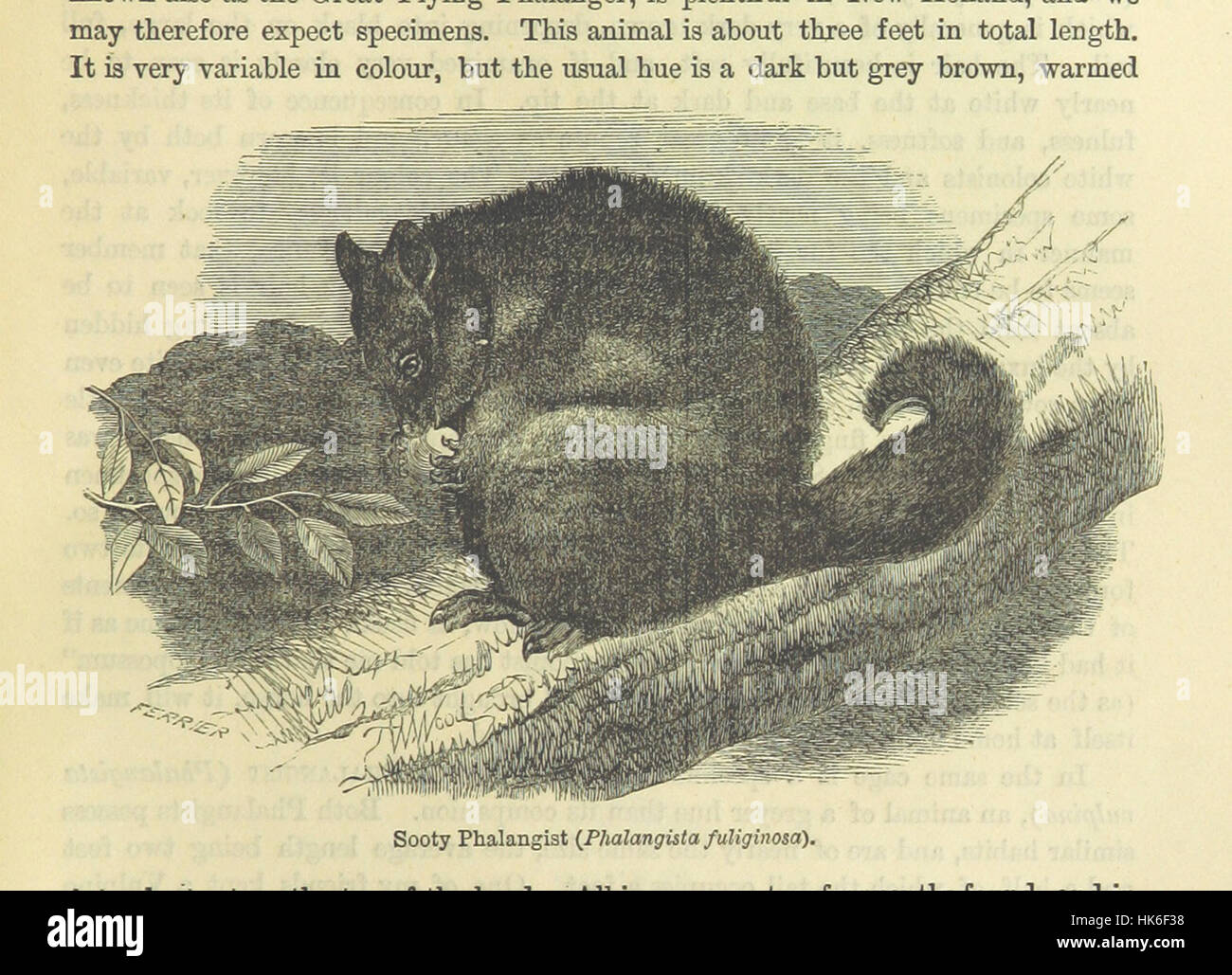 Image from page 267 of 'Beeton's Historical Romances, Daring Deeds, and ...
