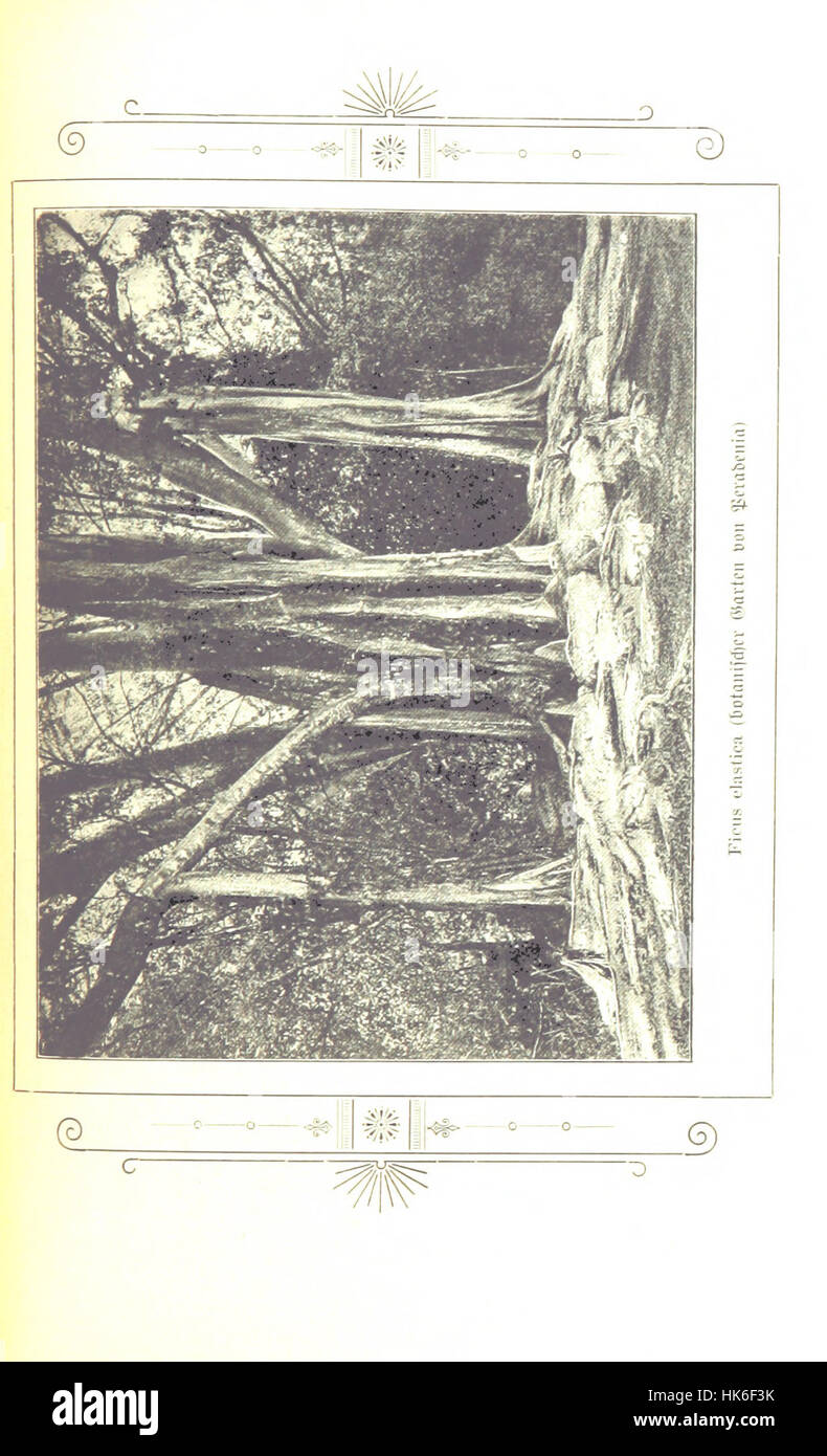 Illustration from 'Ceylon', showing the landscapes, culture, and people ...
