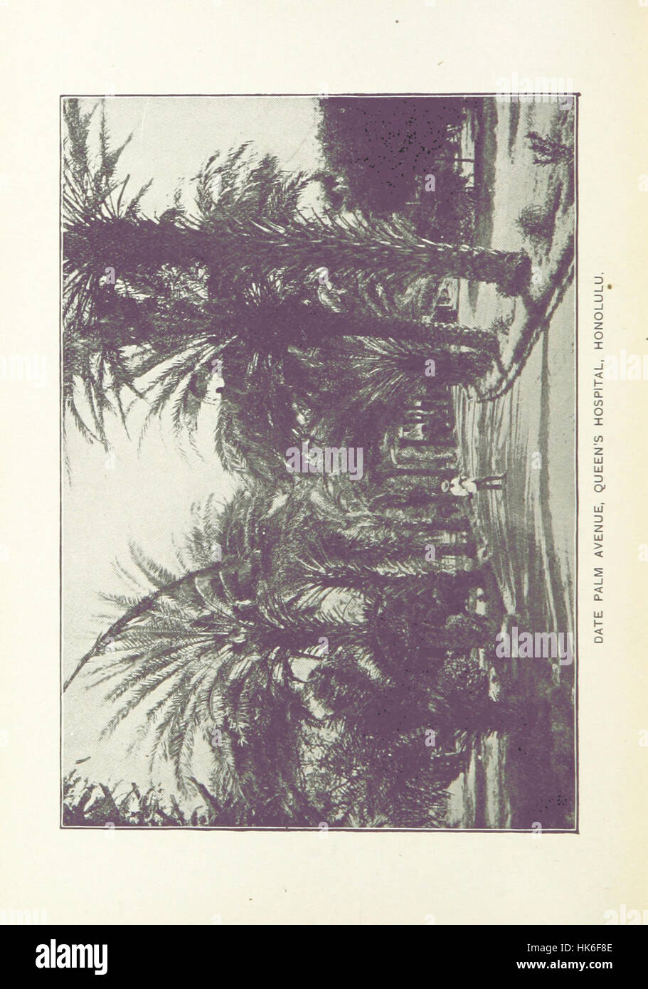 Illustration from 'Hawaii and its People,' showcasing the landscape and ...