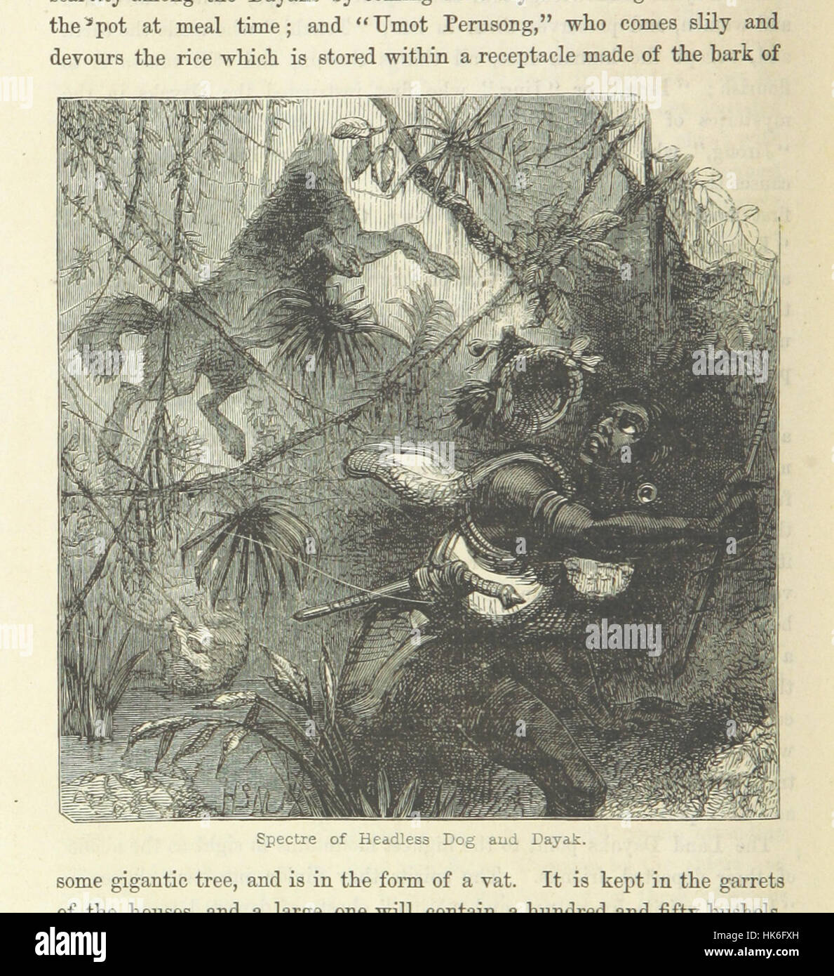 Image from 'Curiosities of Savage Life,' a work exploring primitive ...