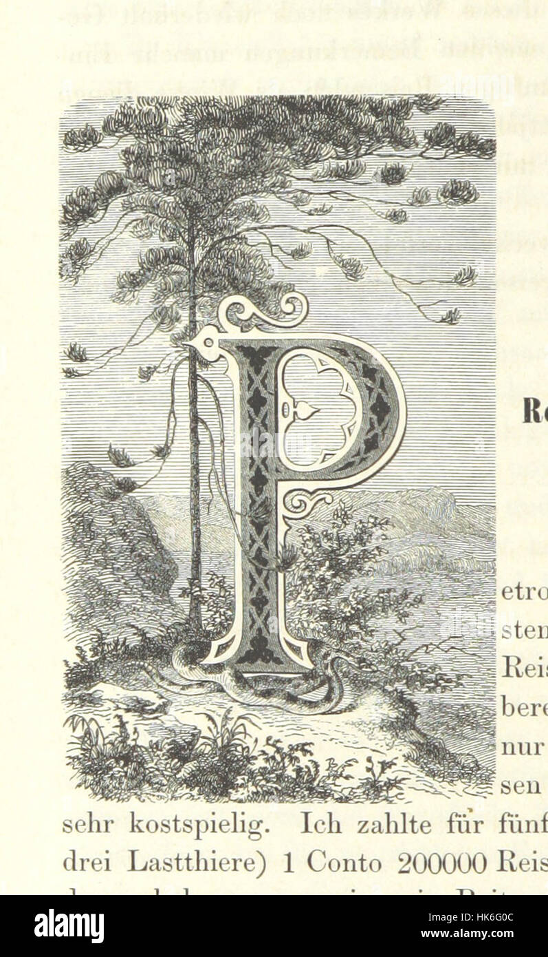 An illustration from 'Reisen durch Südamerika', showcasing the South ...
