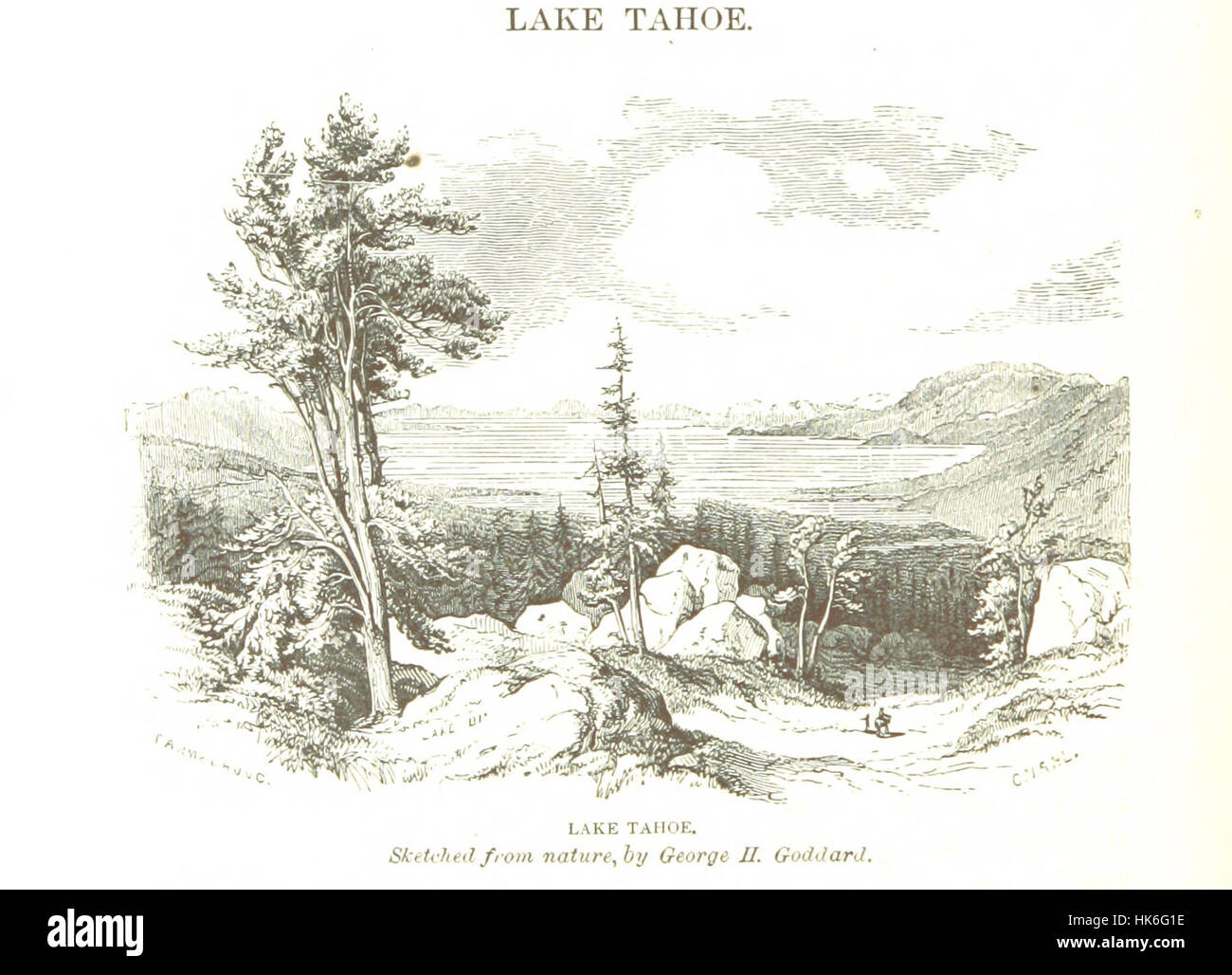 Image from 'Scenes of wonder and curiosity in California', an ...