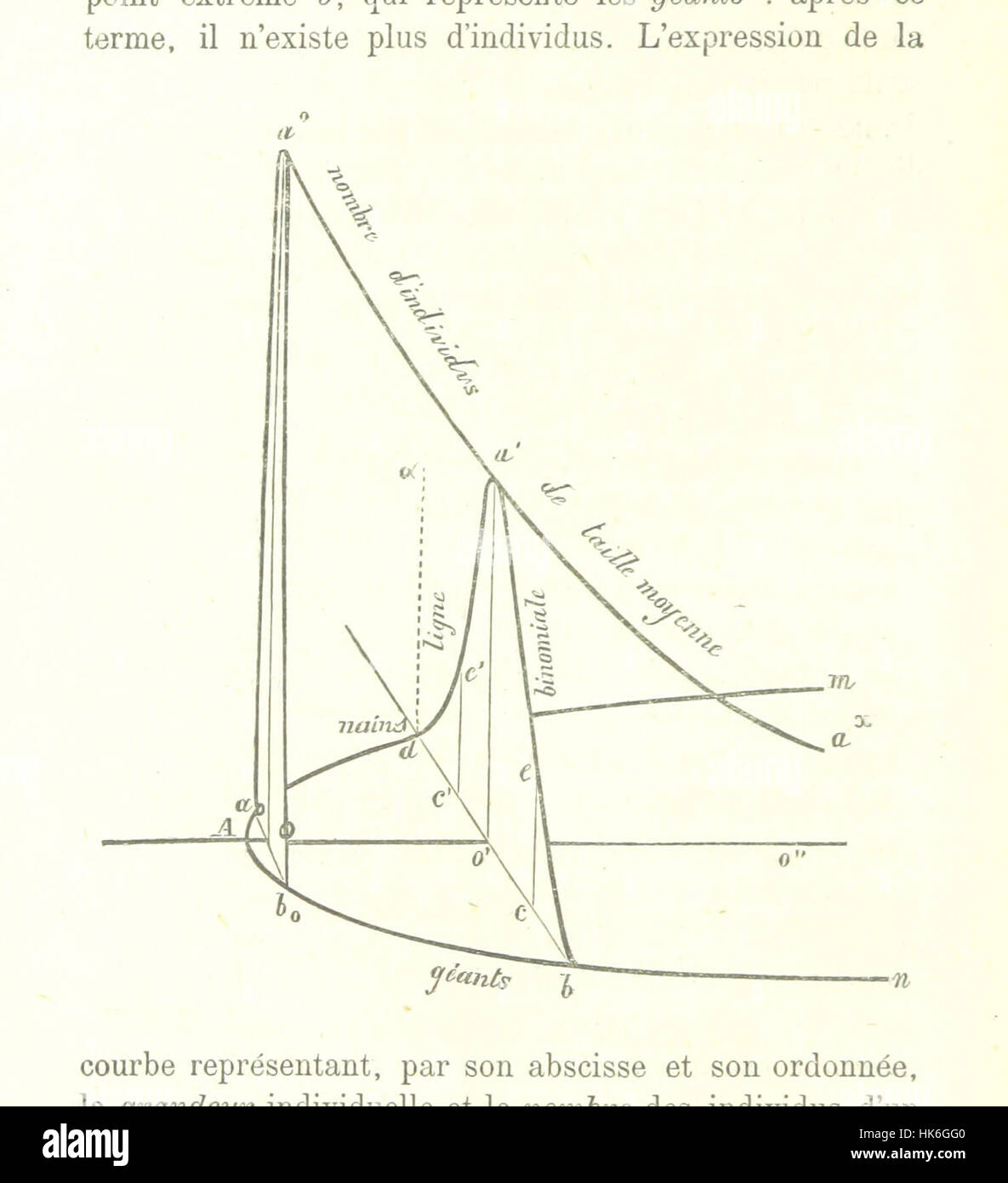 An illustration from 'Anthropomeïtrie', focusing on the measurement of ...