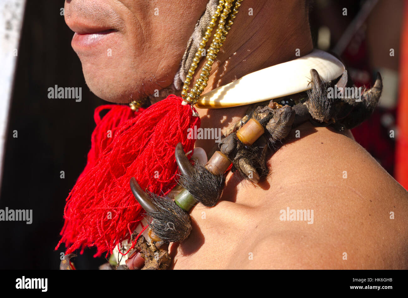 Phom-Warriors fully decorated at Hornbill-Festival Stock Photo - Alamy