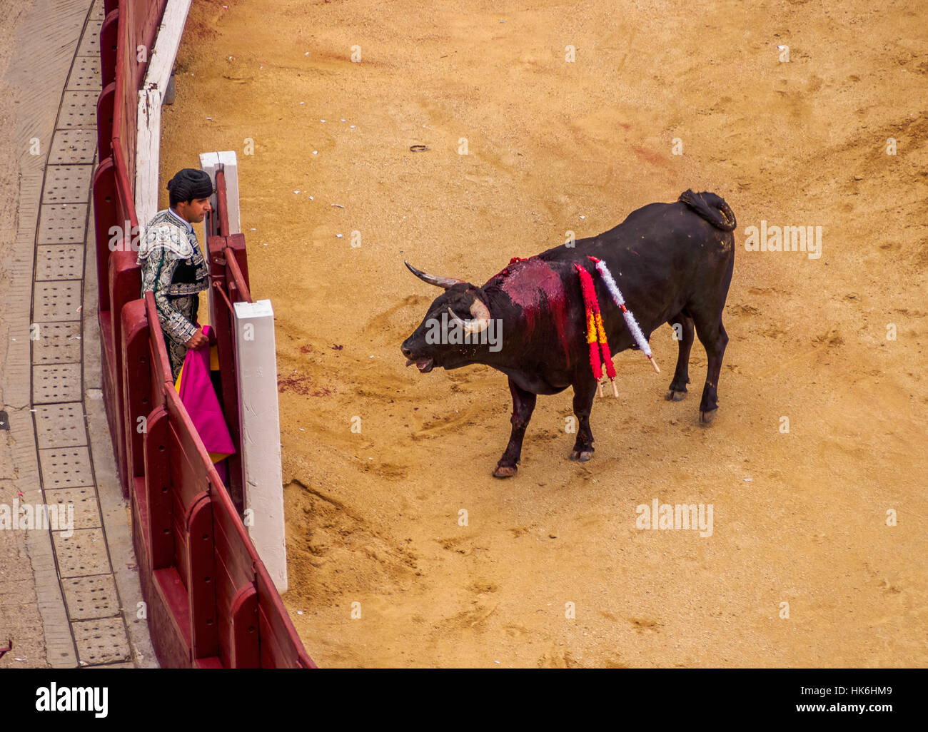 Bleed court hi-res stock photography and images - Alamy