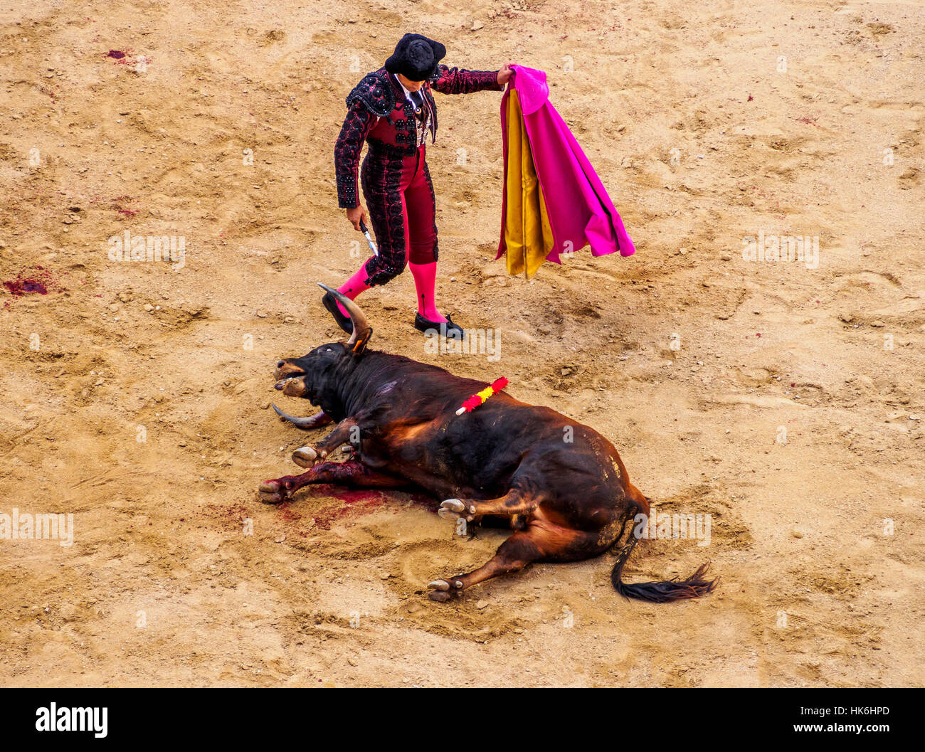 Dead matador hi-res stock photography and images - Alamy
