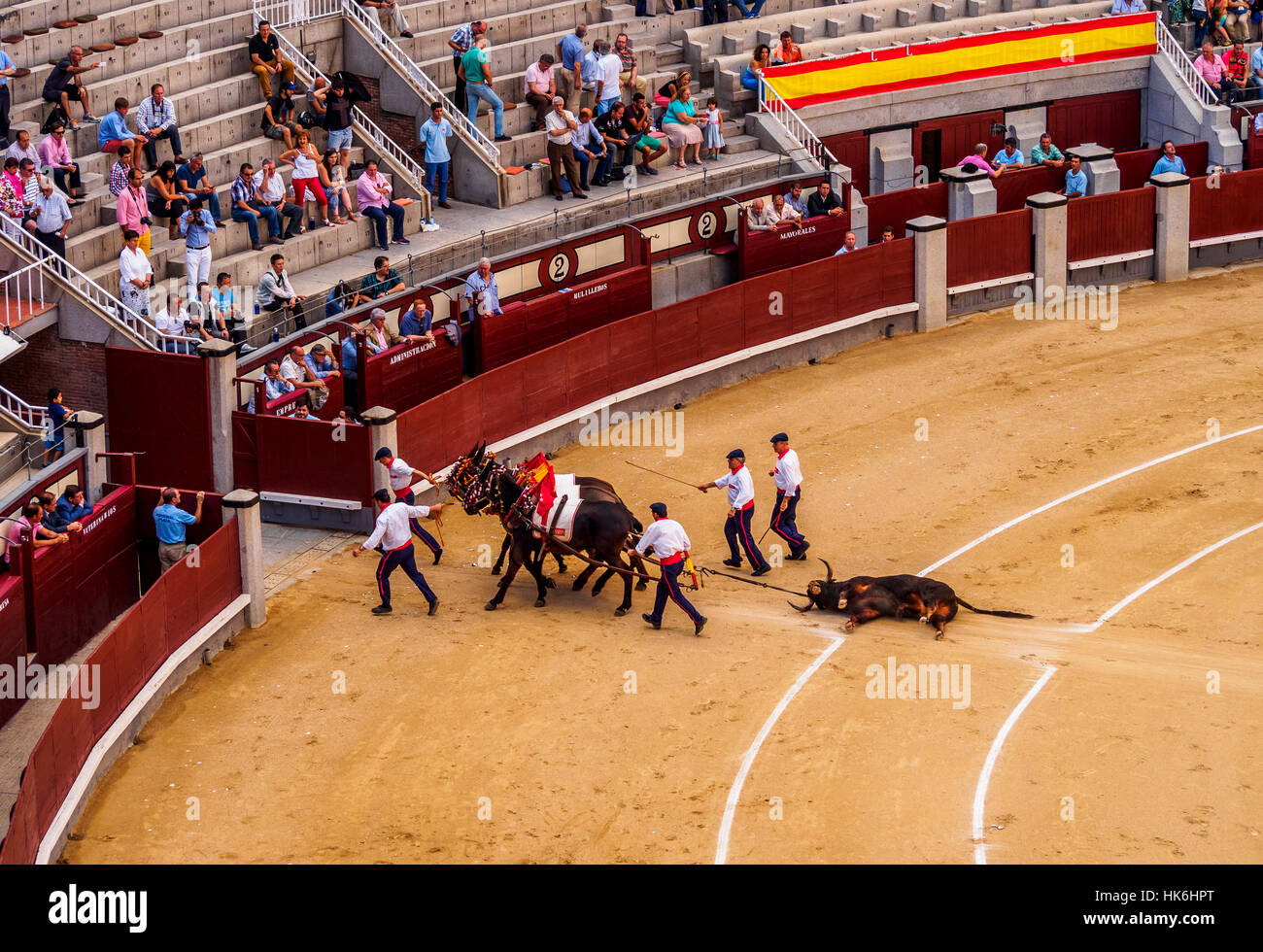 The dead bullfighter hi-res stock photography and images - Alamy