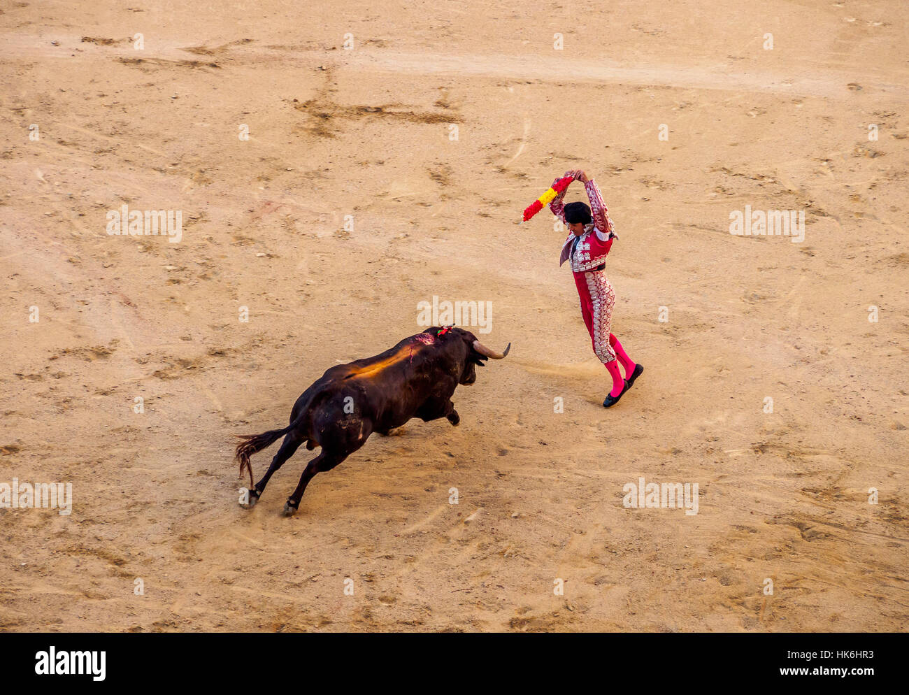 Spanish bull and bullfighter hi-res stock photography and images - Alamy