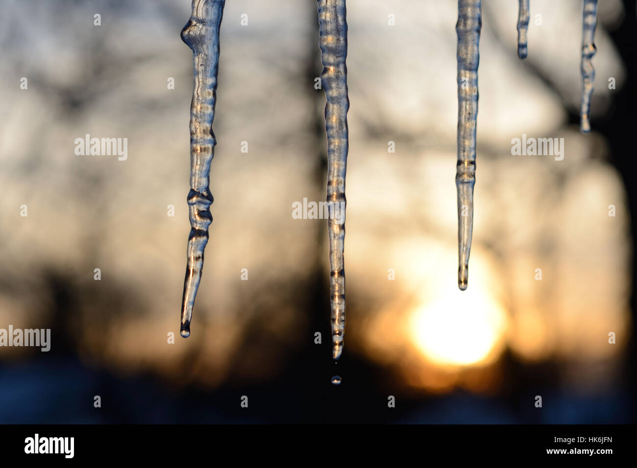 Icicle sun hi-res stock photography and images - Alamy