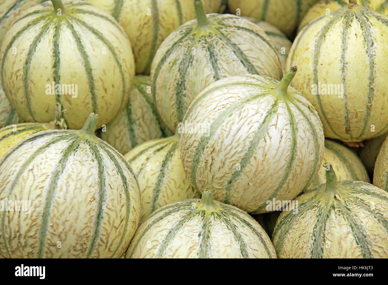 melon, melons, sugar melon, progenies, fruits, fruit, shop window ...