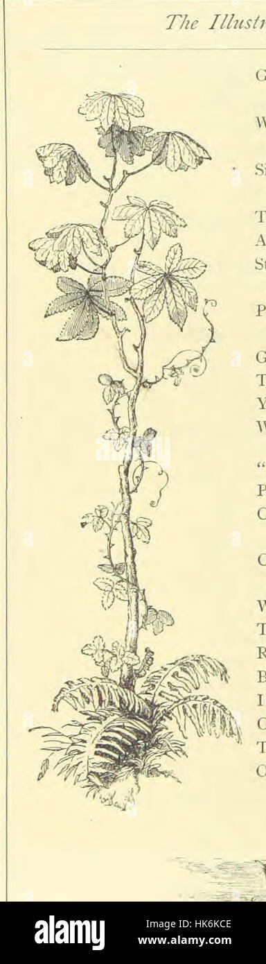 An illustration from 'The Illustrated Book of Sacred Poems', featuring ...