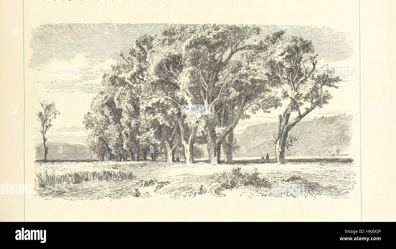 An image from 'Ludwig Uhland und seine Heimat Tübingen', showcasing the ...