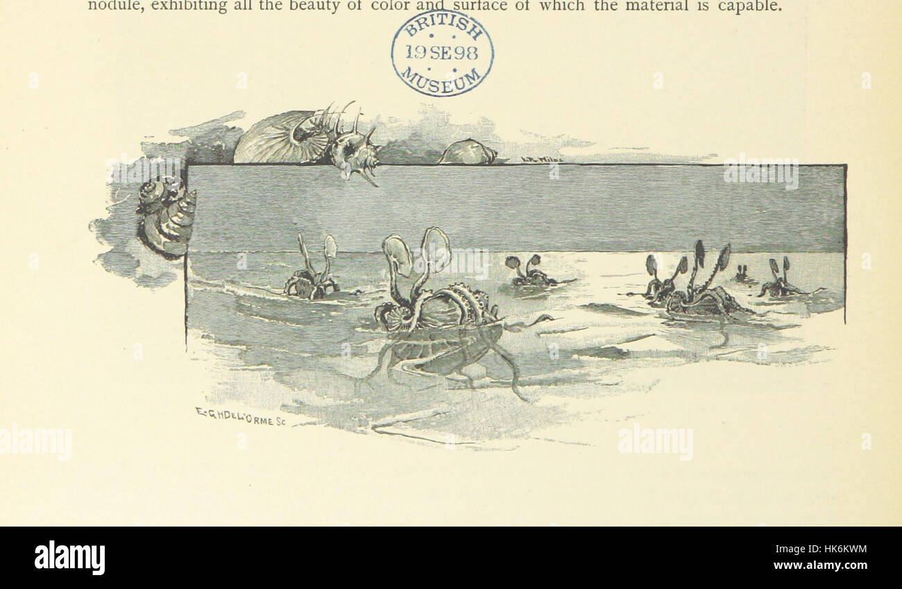 Image showing an illustrated scene from 'The Book of the Ocean,' likely ...