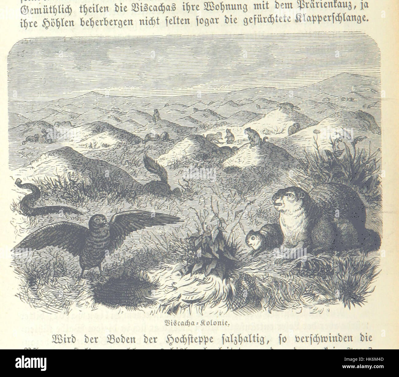 An image from 'Das heutige Mexiko', describing Mexico's history under ...