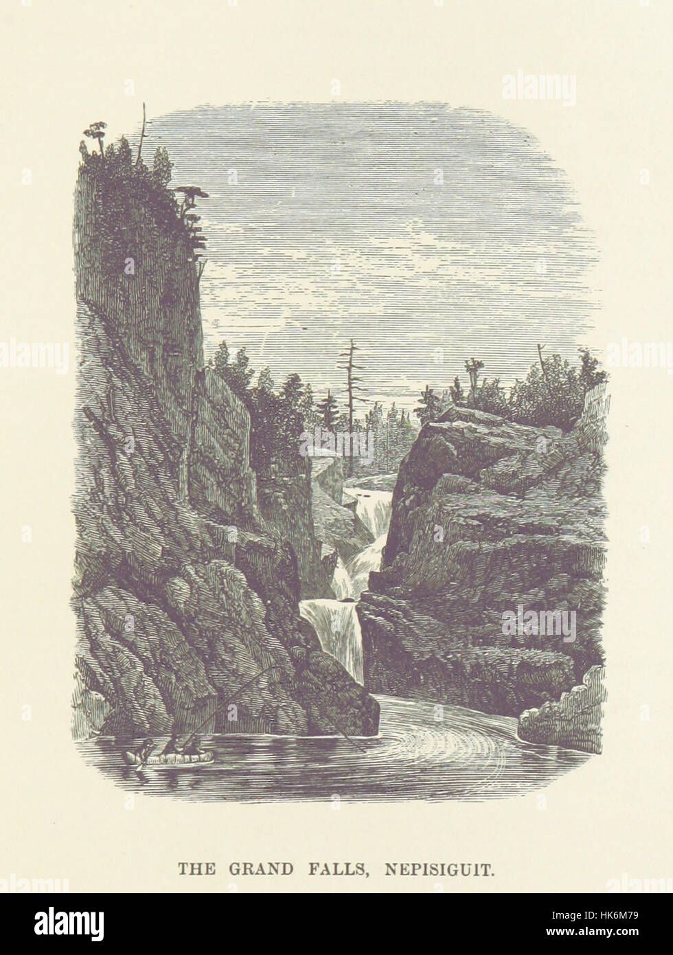 Image from 'Forest Life in Acadie', illustrating the natural history ...