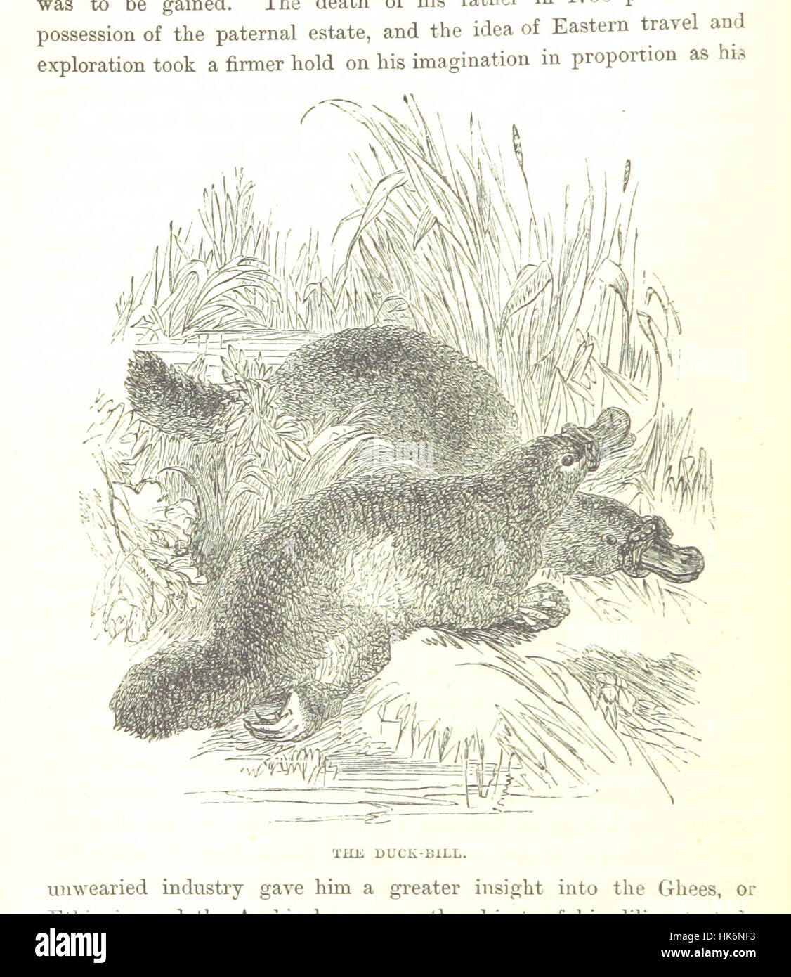 Image from 'The World's Explorers', documenting the journeys and ...