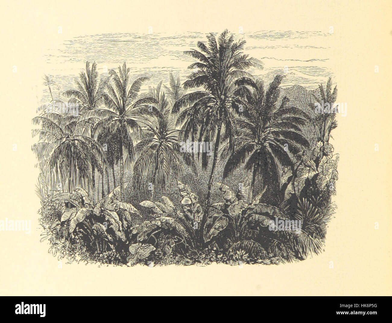 A travel account of journeys through the East Indian Archipelago ...