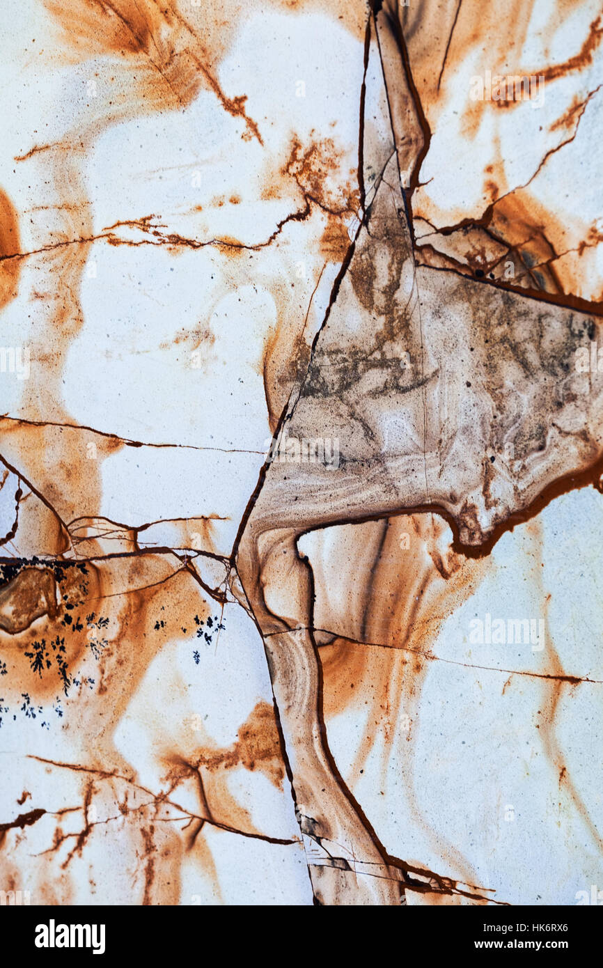 colorful marble floor like a background, note shallow depth of field ...