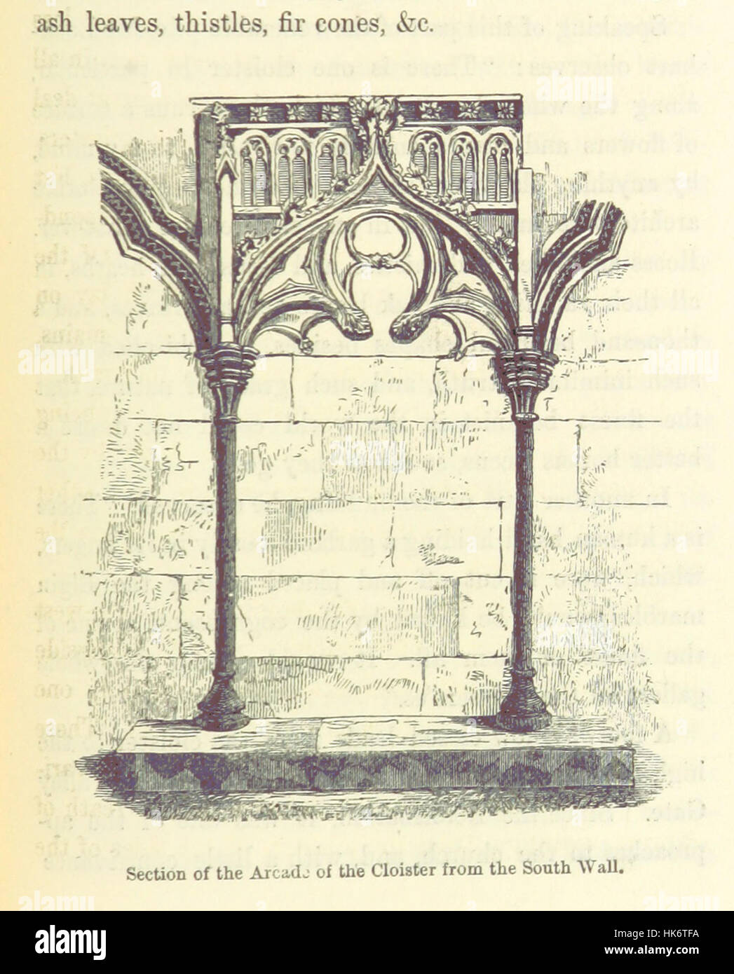 An illustrated history of St. Mary's Abbey and the surrounding town of ...