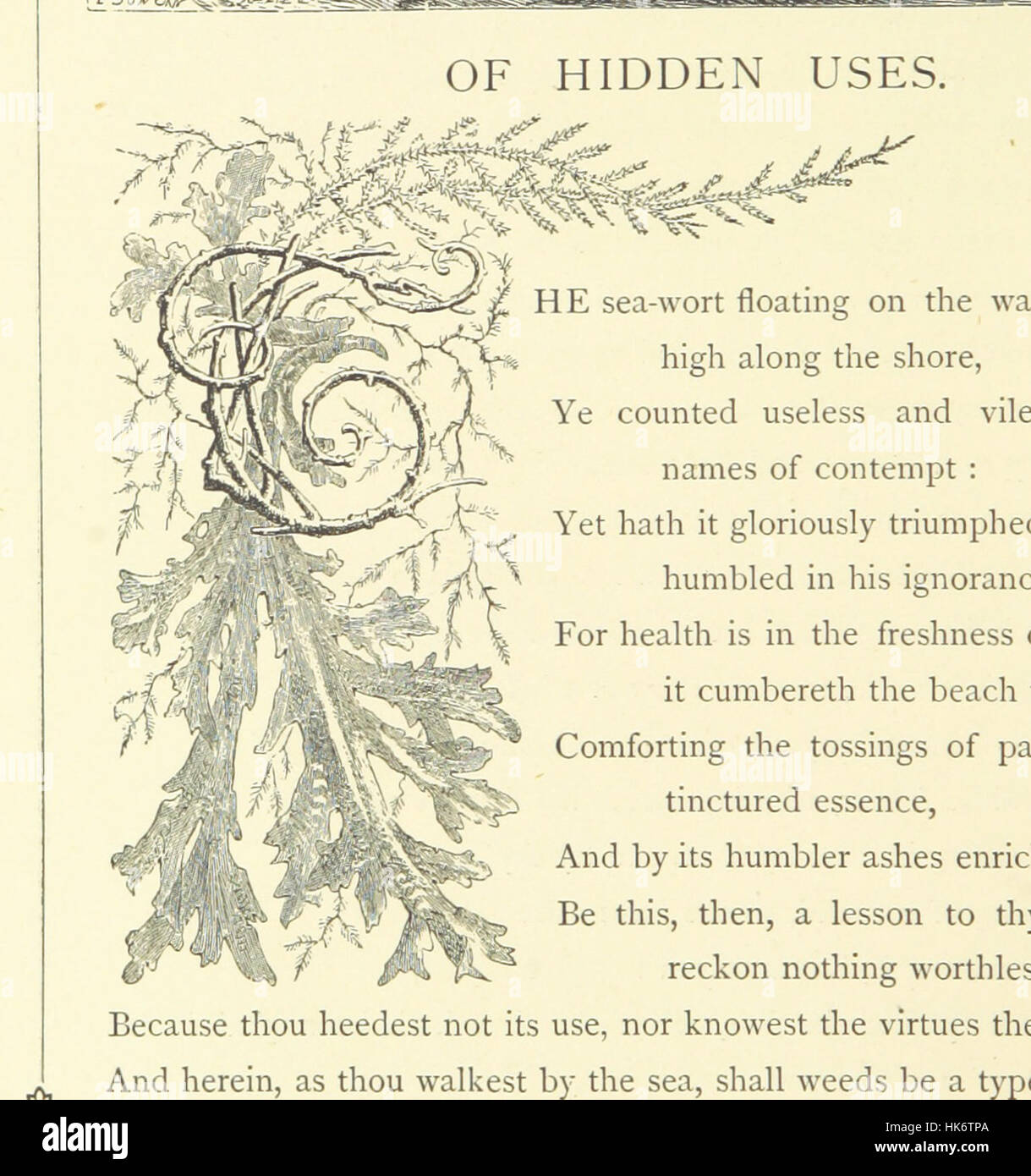 Illustration from 'Proverbial Philosophy', showing a scene that aligns ...