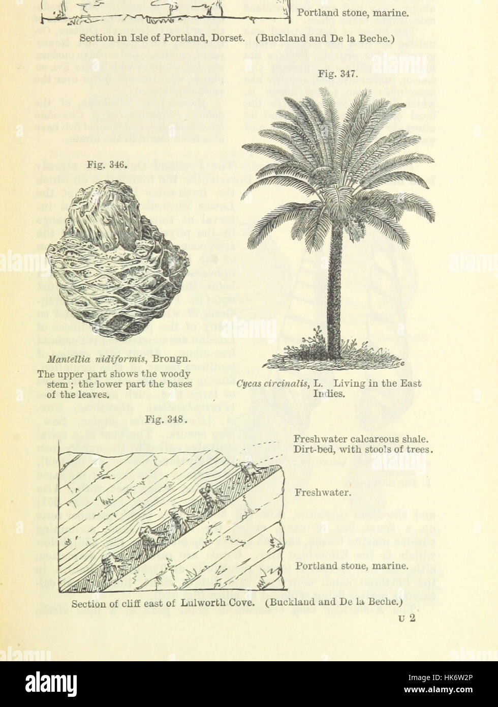 Image from 'The Student's Lyell,' an elementary geology manual edited ...