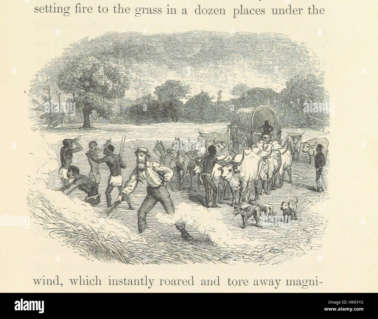 An illustration from 'African Hunting,' depicting a hunting expedition ...
