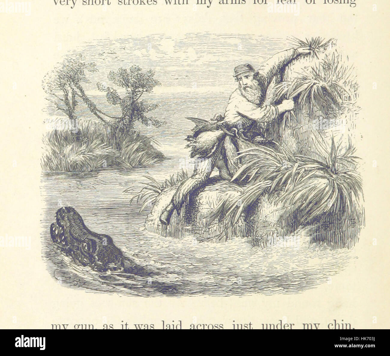 An illustration from 'African Hunting,' depicting hunting expeditions ...