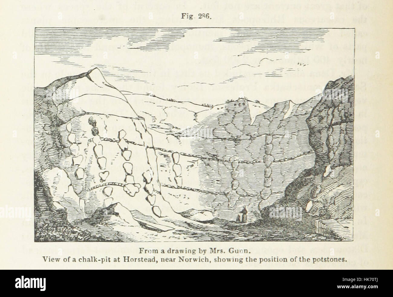 An illustration from 'Elements of Geology,' showing geological ...