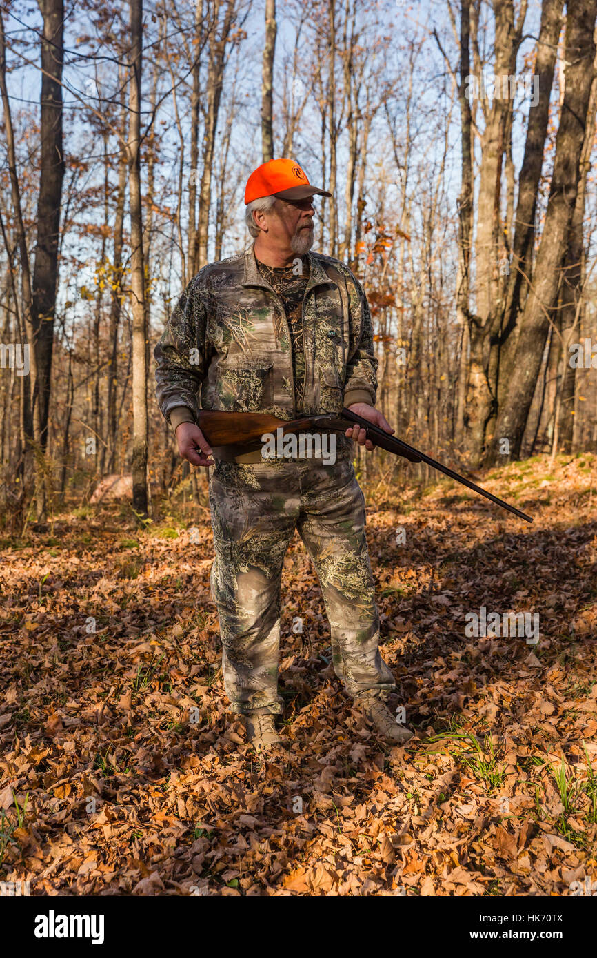 Ruffed grouse hunting in autumn Stock Photo - Alamy
