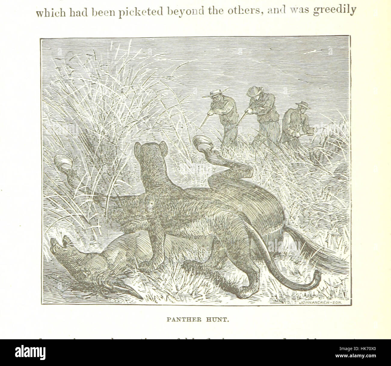 Image taken from page 344 of 'The Marvellous Country,' documenting the ...