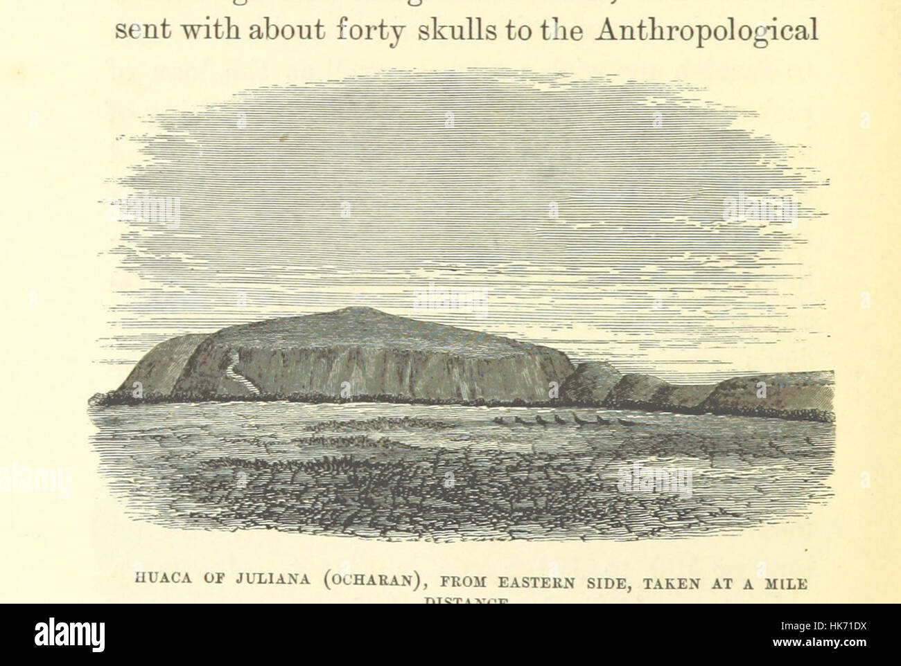 Illustration from page 348 of 'Two Years in Peru,' detailing the ...