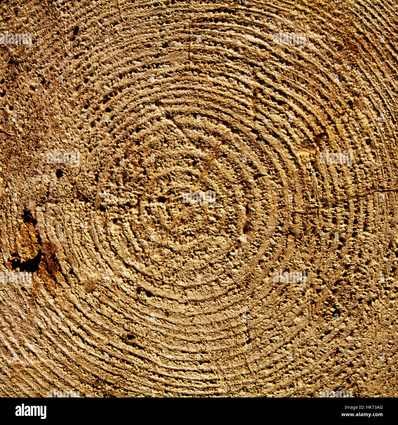 tree, wood, pine, lines, oak, concentric, dirty, circles, pattern, aged ...