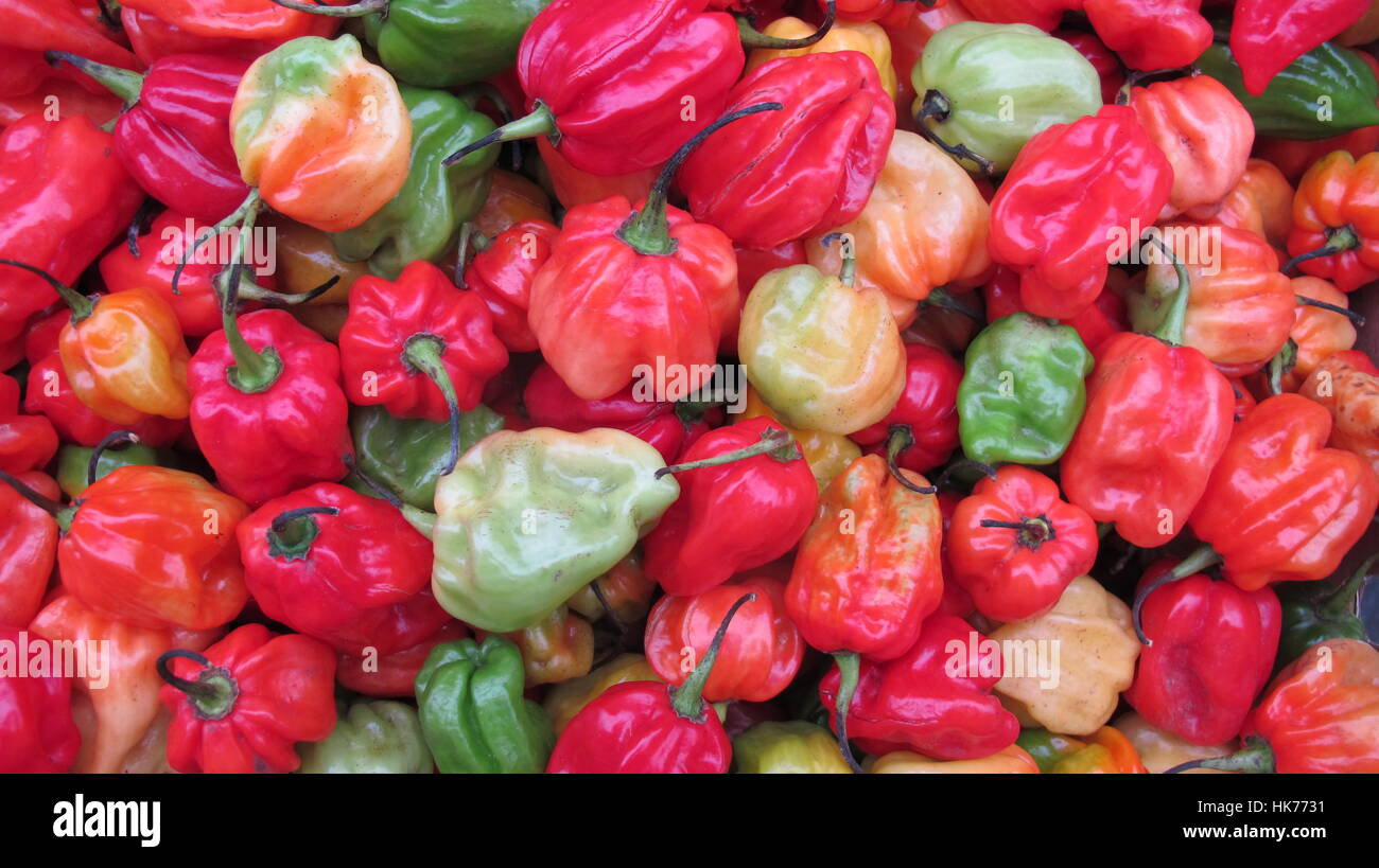Green scotch bonnet peppers hi-res stock photography and images - Alamy