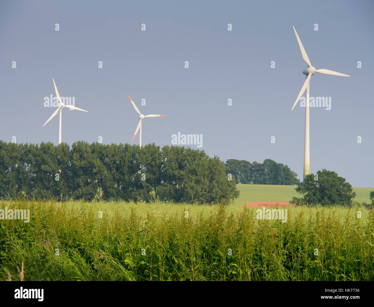 energy, power, electricity, electric power, wind force, wind energy ...