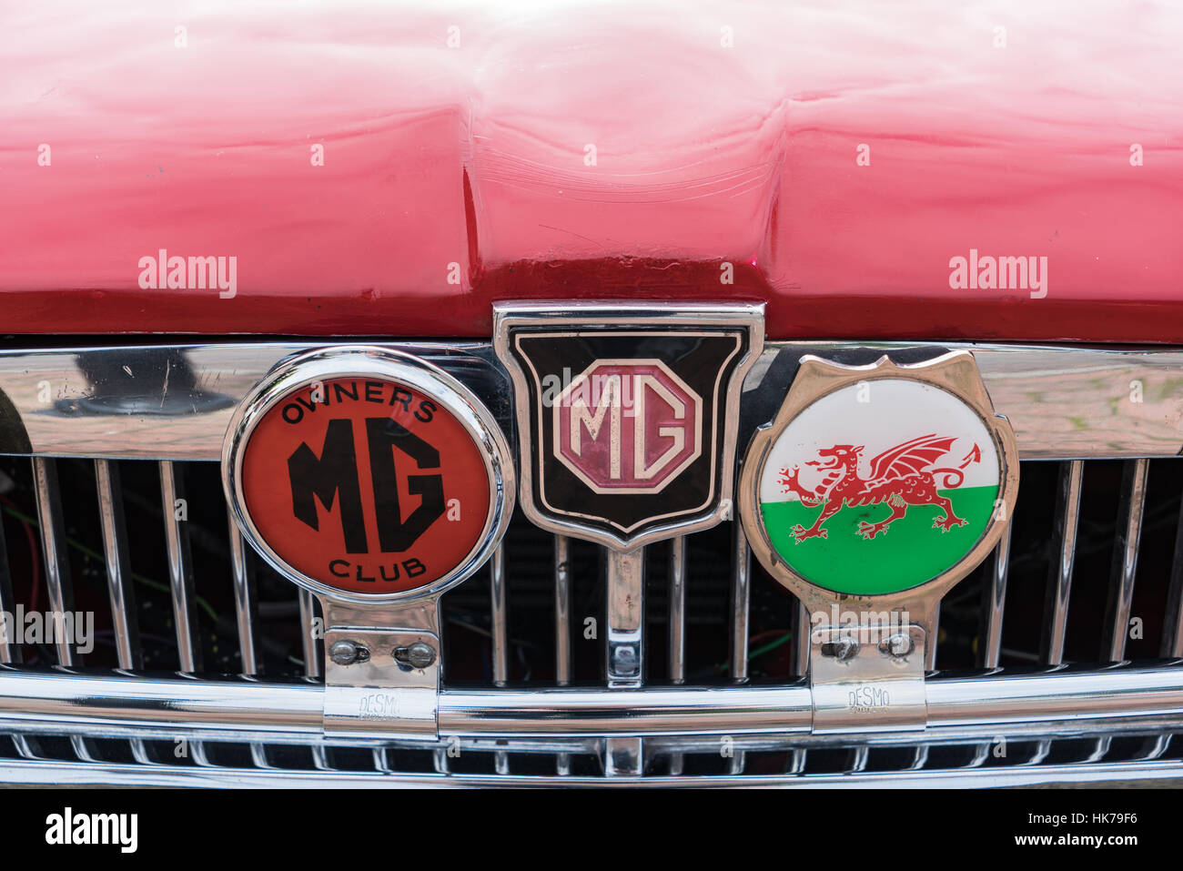 Close up of grill badges on a classic MGB Stock Photo - Alamy