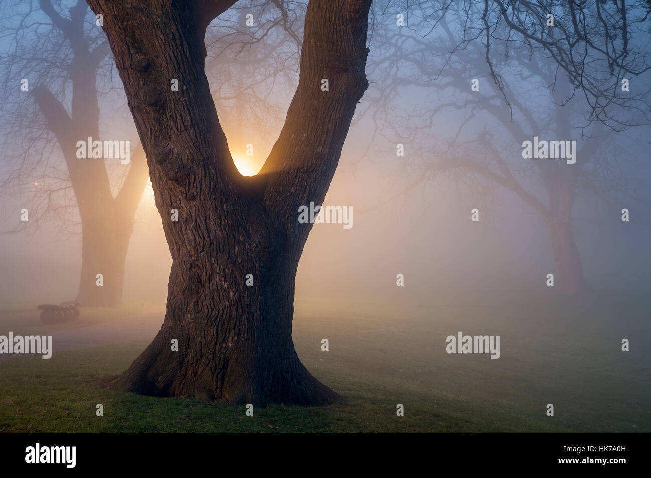 Fog england winter landscape hi-res stock photography and images - Alamy