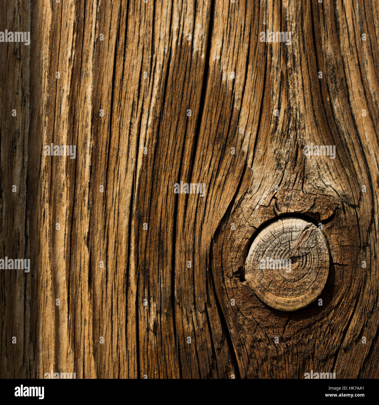 tree, wood, shelf, wooden board, canvas, knothole, wood grain, wood ...