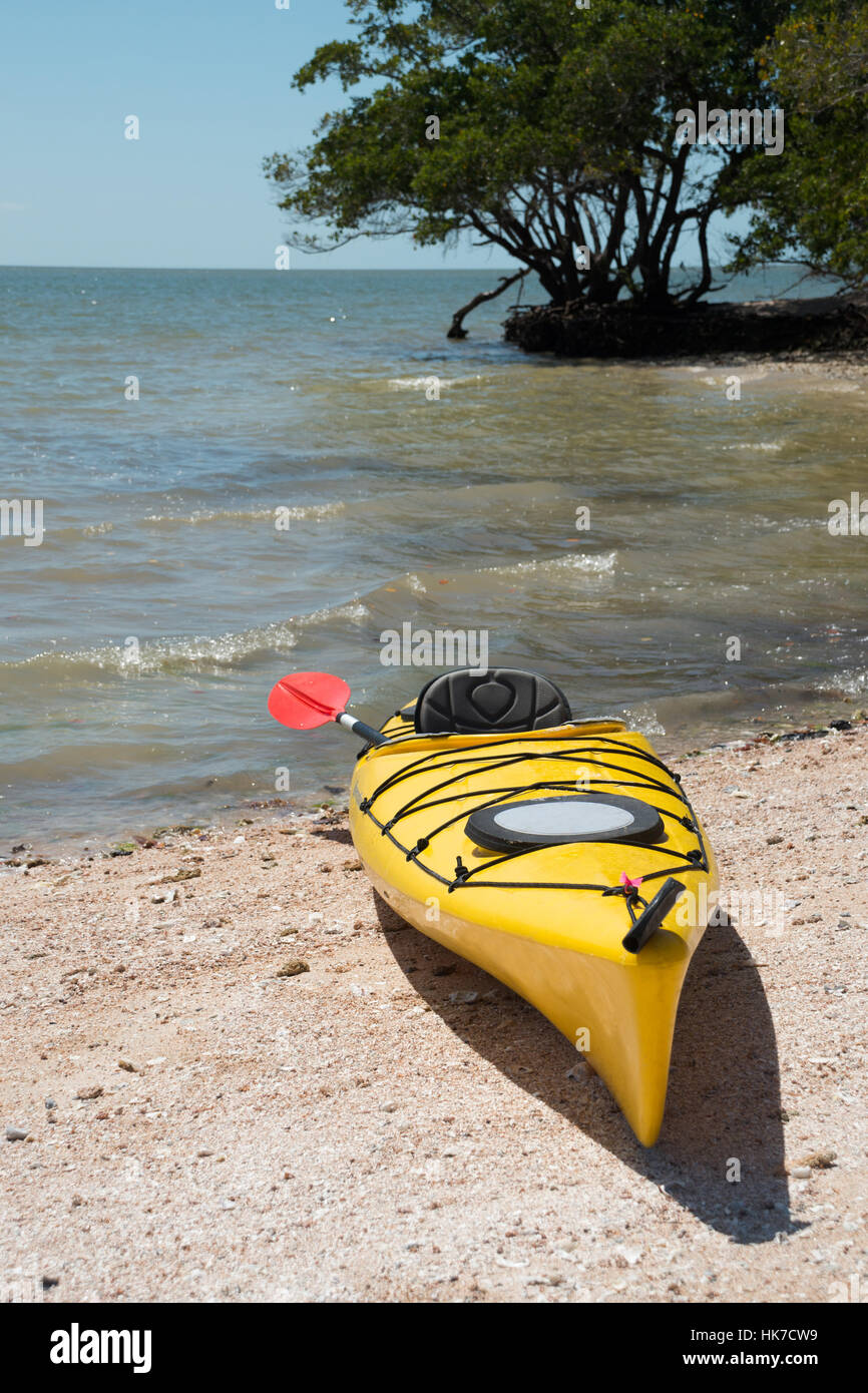 blue, tree, trees, green, leaves, branches, paddle, kayak, one ...