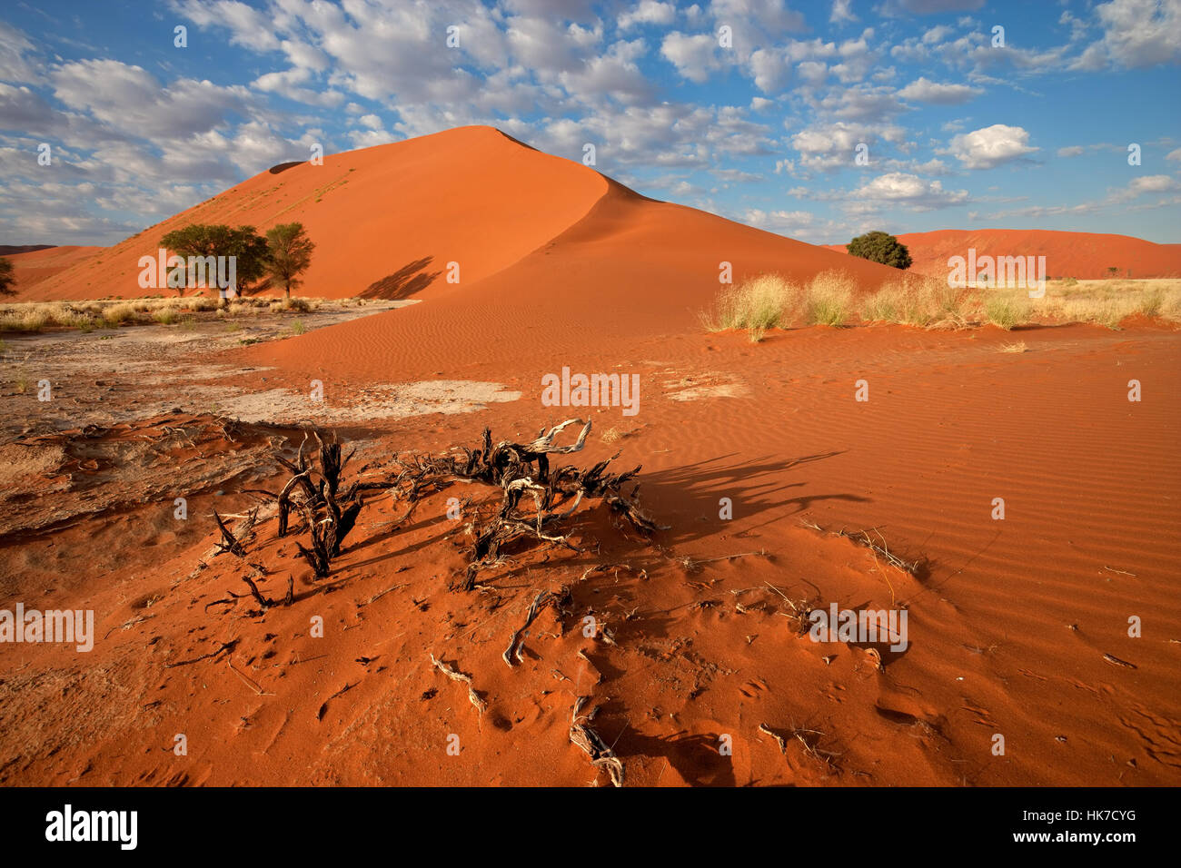 desert, wasteland, namibia, dune, landscape, scenery, countryside ...