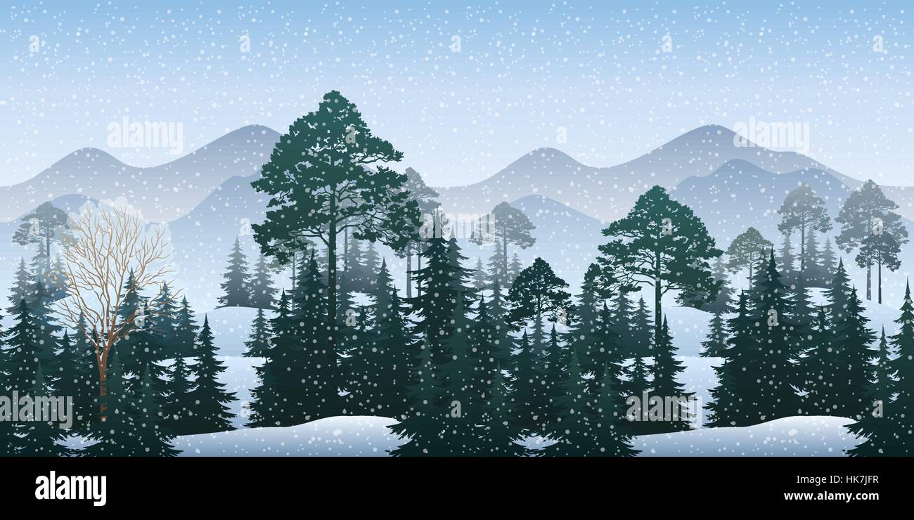 Seamless Winter Woodland Landscape Stock Vector Image & Art - Alamy