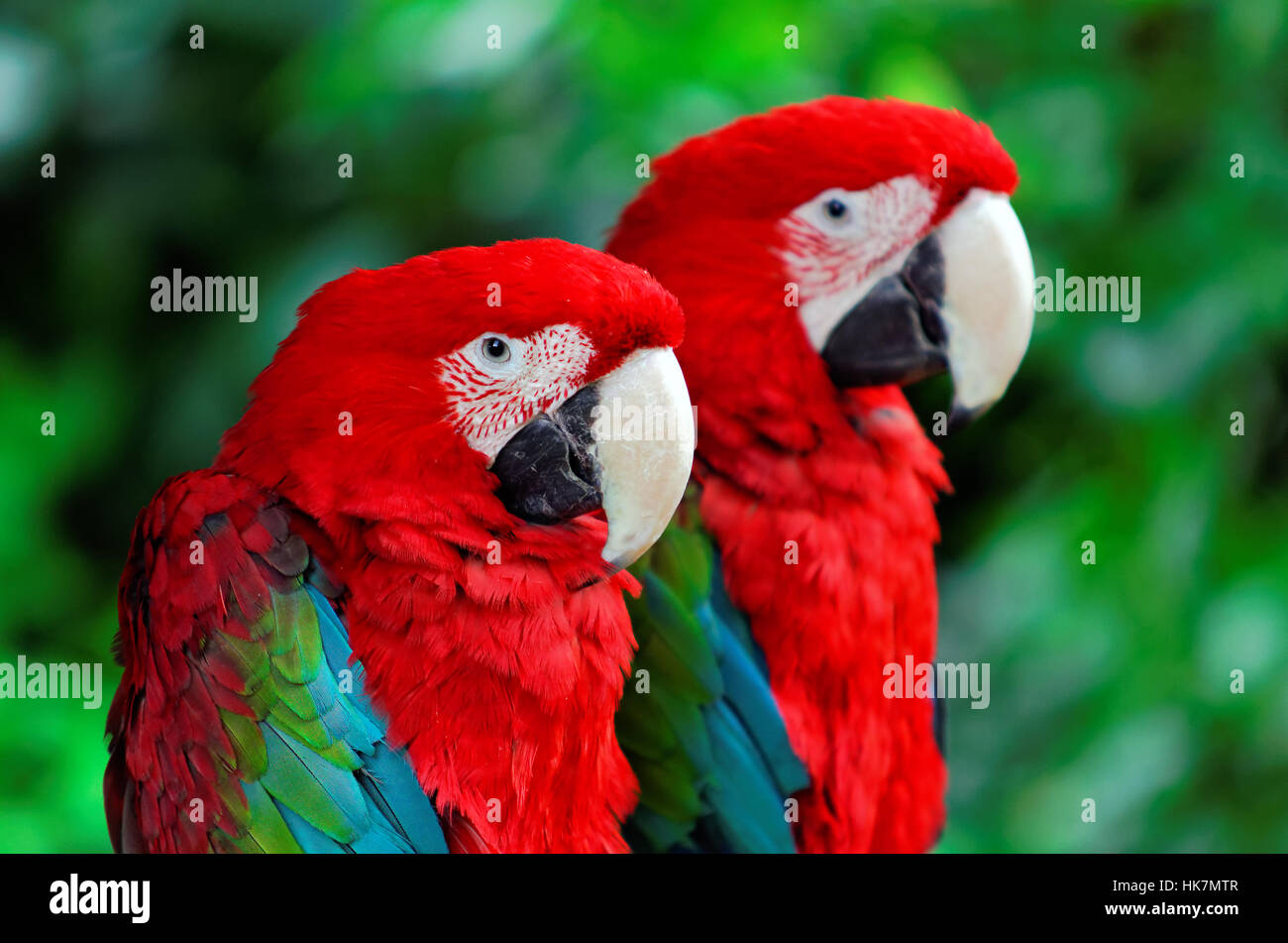 Guitar Investment | World Finance